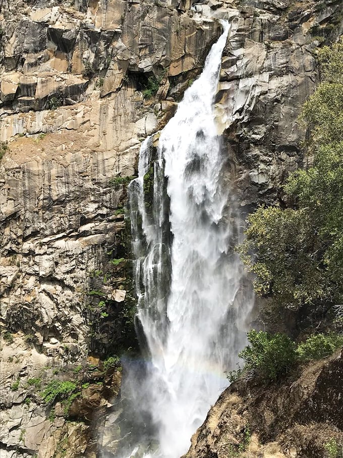 The main event! Water plummets with hypnotic grace, creating a misty veil that catches sunlight like nature's own light show.