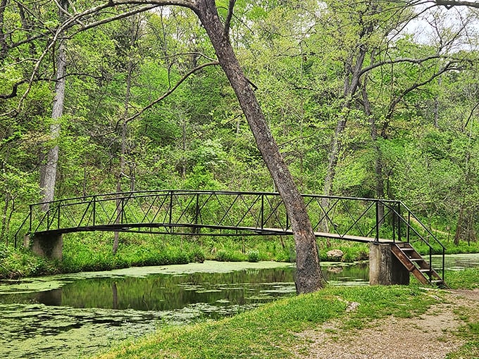 This gentle cascade might be the park's warm-up act, but it performs with enough grace to merit its own standing ovation.