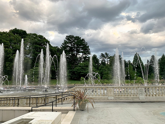 Water ballet at its finest! These dancing fountains perform with more precision and grace than I managed at my niece's wedding after three glasses of champagne.