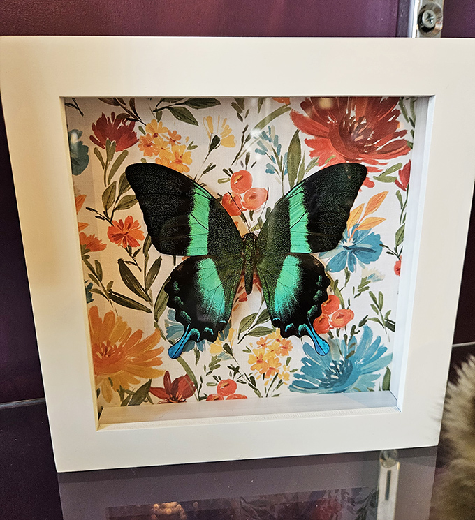 Nature's artistry preserved: This emerald-winged butterfly specimen transforms mortality into a mesmerizing display against a vibrant floral backdrop.