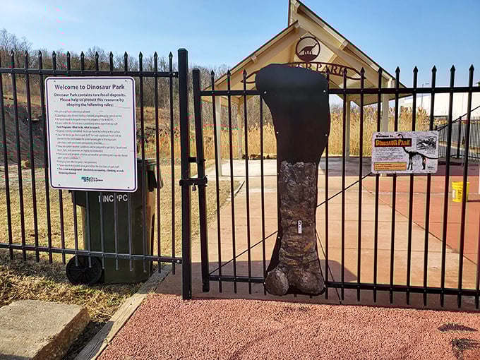 The entrance to prehistoric adventure awaits behind these gates. That dinosaur leg fossil isn't going to kick you&mdash;probably.