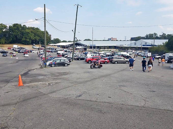 The pilgrimage begins in this sprawling parking lot. Like a treasure map, it leads shoppers to buildings filled with undiscovered gems and forgotten relics.