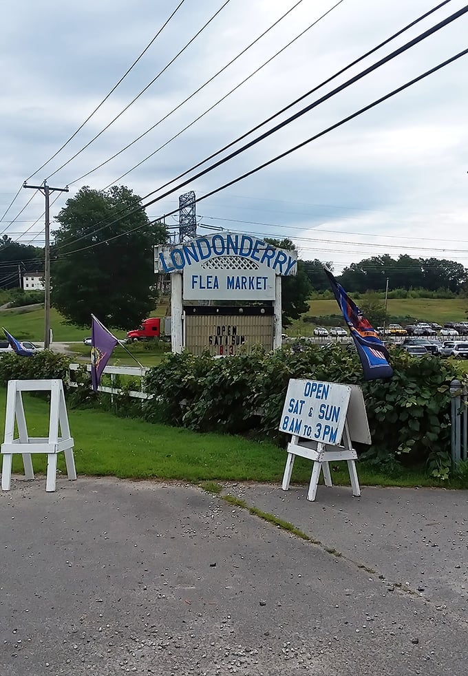 The classic flea market welcome sign promises weekend adventures from 8AM to 3PM. Like a retail lighthouse guiding bargain hunters safely to shore.