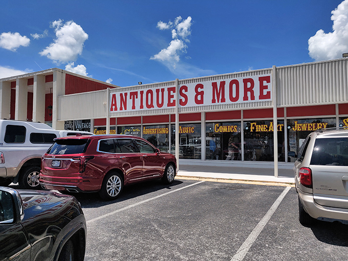 Blue skies frame this treasure hunter's paradise, where parked cars tell the story: everyone from luxury sedan owners to pickup truck drivers shares the universal language of nostalgia.