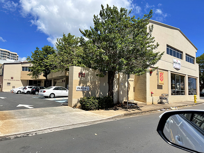 Two leafy sentinels guard the entrance to this wonderland of pre-loved possibilities. The beige building hides its secrets well.