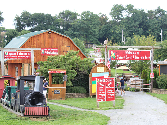 Step through these gates and suddenly you're eight years old again, ready to explore a world where fun doesn't require a software update.