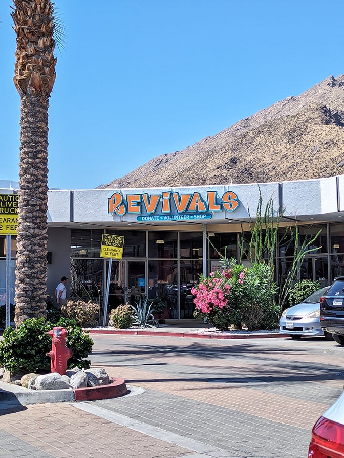 Desert chic meets thrift store magic where the San Jacinto Mountains stand guard over fashion finds and furniture treasures.