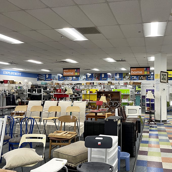 Chair-ish the moment! This furniture section offers everything from mid-century modern pieces to practical office chairs, all waiting for their second act.