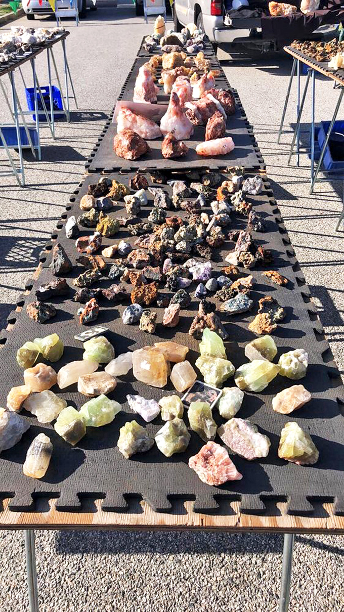Nature's jewelry box spilled open. These geological gems aren't just rocks &ndash; they're conversation pieces waiting to adorn your home.