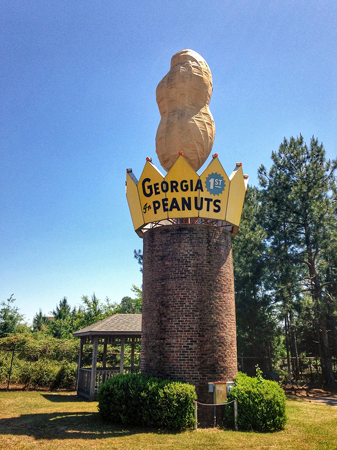 Mother Nature provides the perfect backdrop for this nutty attraction. Even the clouds seem to gather for a better view of Georgia's agricultural royalty.