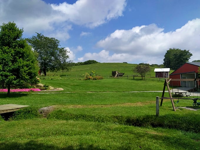 Rolling hills that haven't changed their mind about being beautiful since before electricity was cool. Nature's screen saver in real life.