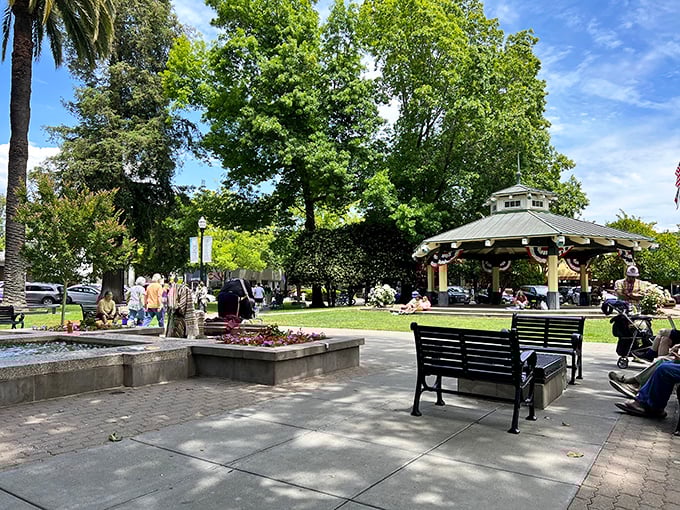 The town plaza&mdash;Healdsburg's living room&mdash;where strangers become friends and the gazebo has heard more music than most concert halls. 