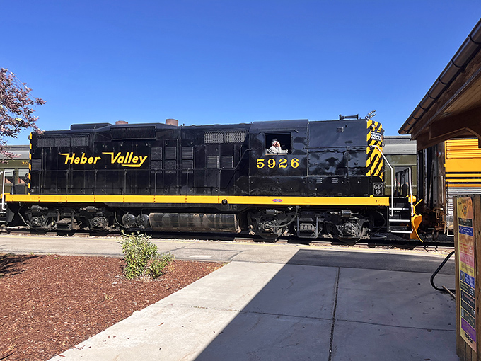 Engineering marvel meets artistic design &ndash; this gleaming locomotive proudly displays its heritage with that unmistakable yellow stripe.