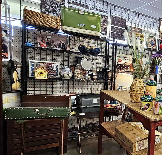 Vintage treasures await discovery in this carefully curated booth where yesterday's household items become tomorrow's conversation pieces.