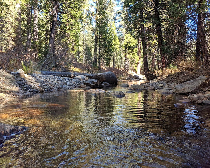 Hot Springs Creek meanders through like it's got nowhere important to be&mdash;a masterclass in unbothered existence.