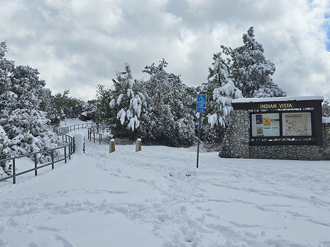 Winter's unexpected cameo in Southern California&mdash;snow-draped pines and pristine pathways create a postcard moment just hours from palm trees and beaches.