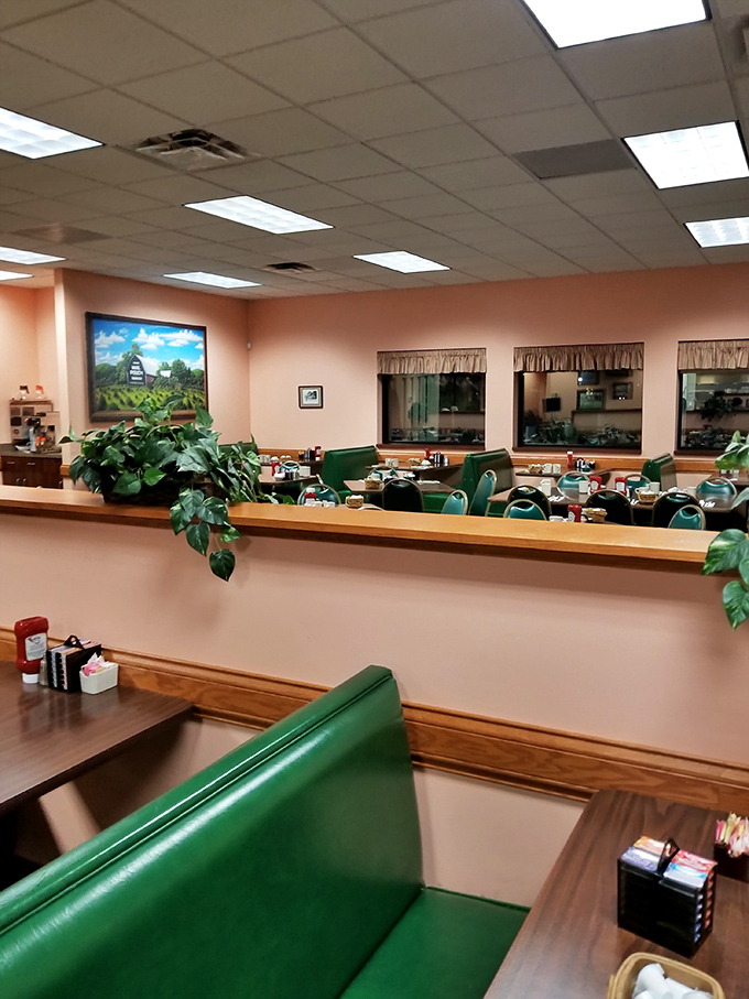 Those classic green booths have witnessed countless family gatherings and first dates. The soft pink walls and hanging plants create that perfect "come as you are" atmosphere.