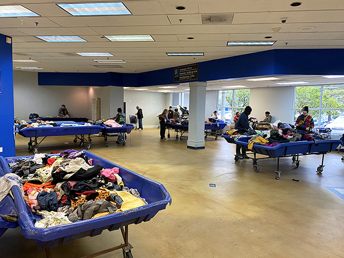 Welcome to the blue bin jungle! Shoppers methodically mine for treasures in this no-frills environment where fashion finds and household gems await the patient explorer.