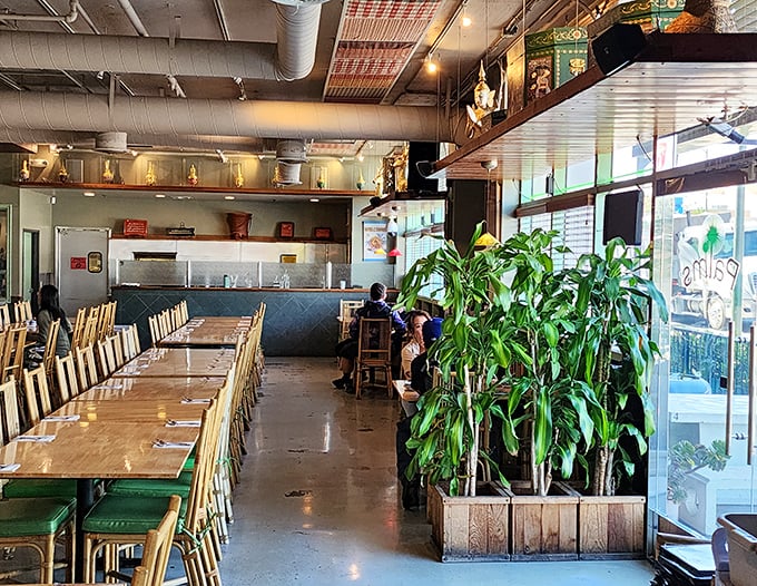 Spacious, no-nonsense dining room where the focus is squarely on the food. Those family-style tables have witnessed countless "Oh my God, you have to try this" moments.