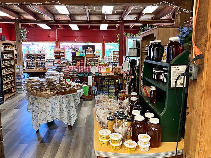 Treasure hunters, take note! This rustic market area is where culinary souvenirs are born. Local honey, homemade jams, and memories bottled for the ride home.