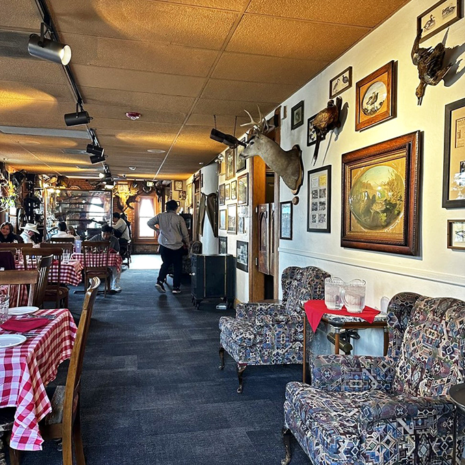 Walking these halls feels like strolling through a natural history museum where dinner is served. Those mounted heads? They're watching you eat their cousins.