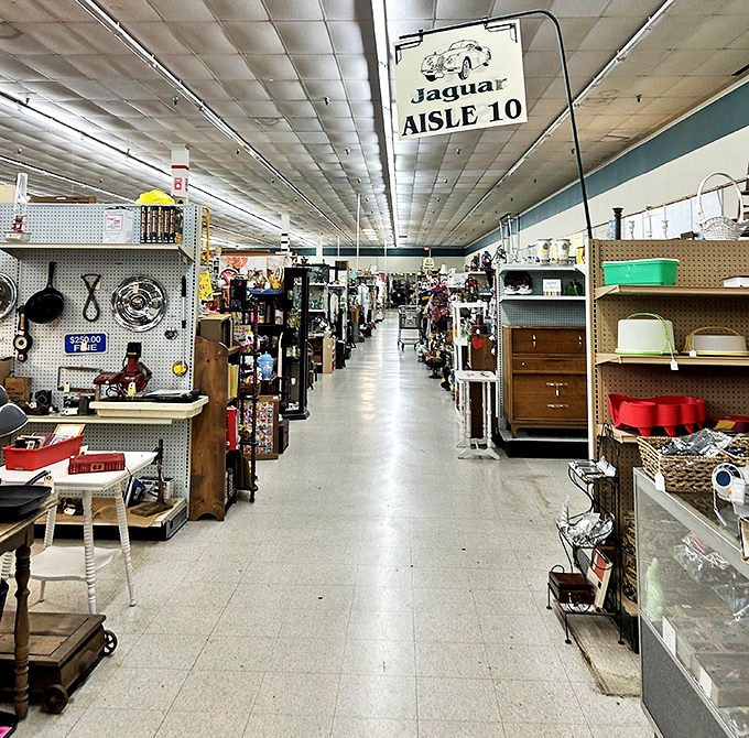 Long, organized aisles stretch toward infinity like a time traveler's highway. That "Jaguar" sign isn't referring to the car you'll buy after selling grandma's vase.