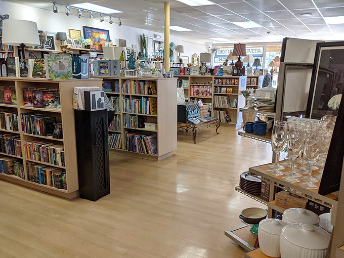 Books and home goods coexist in perfect harmony, like a well-curated museum where everything's actually for sale.