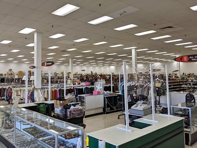 A retail wonderland stretches before you, where fluorescent lights illuminate endless possibilities and every aisle promises discovery.