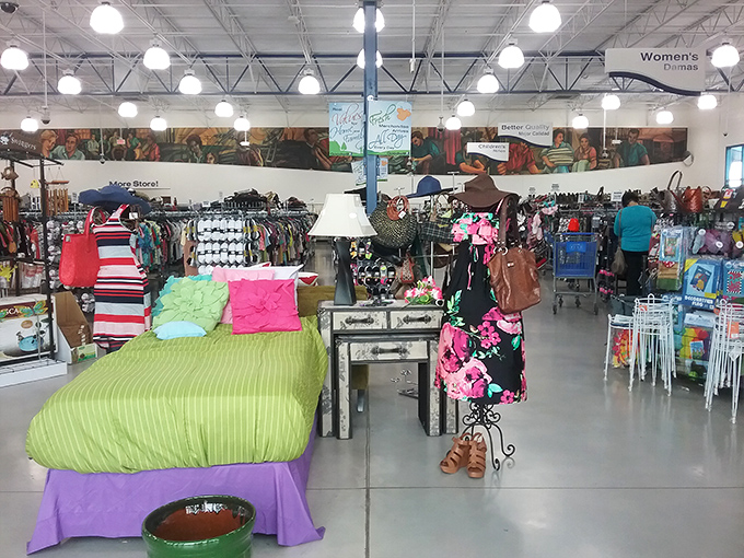 Step inside and the treasure hunt begins! This isn't your grandmother's cluttered thrift store&mdash;it's an organized paradise where yesterday's castoffs become tomorrow's conversation pieces.