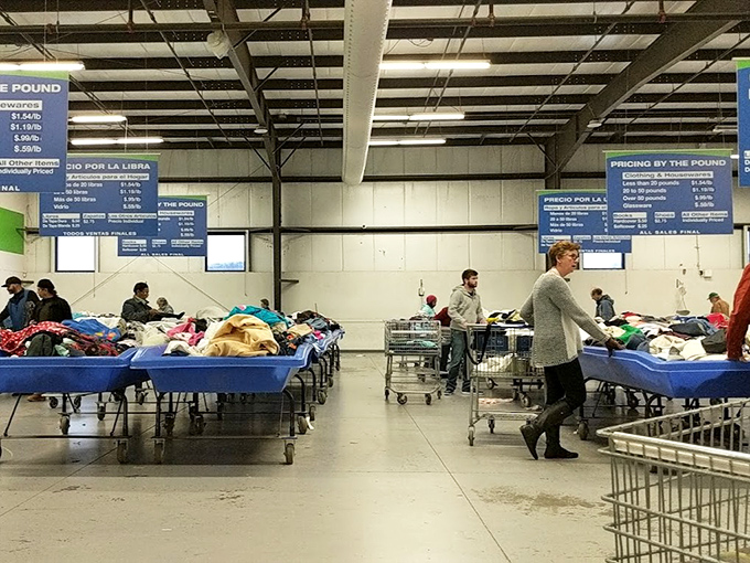 The heart of the action - blue bins stretching as far as the eye can see, each one a potential goldmine of discoveries.