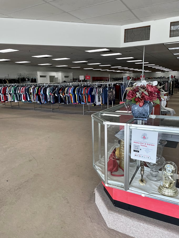 Rows upon rows of clothing stretch toward the horizon, a kaleidoscope of fashion possibilities waiting to be discovered at prices that'll make your wallet smile.