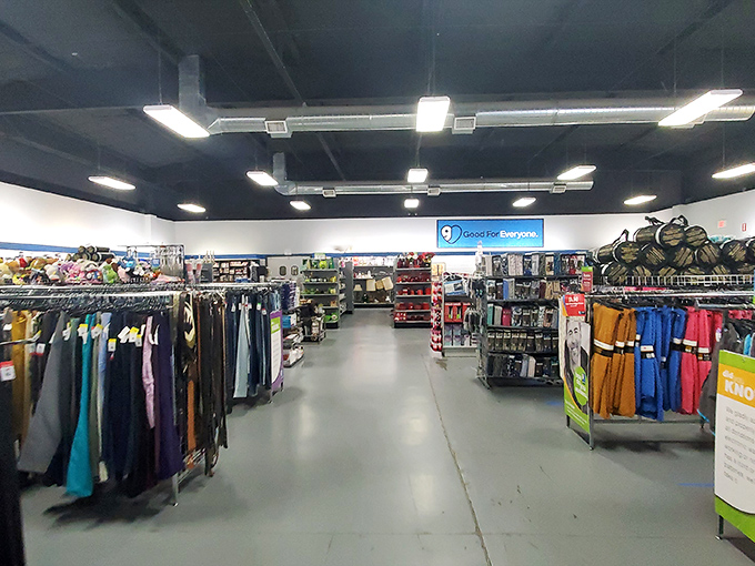 Wide aisles and organized chaos beckon the savvy shopper. This isn't just a store; it's an expedition waiting to happen.