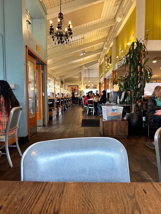 High ceilings, elegant chandeliers, and a warm color palette create that rare alchemy of sophistication without pretension. Like Alaska itself&mdash;naturally impressive.