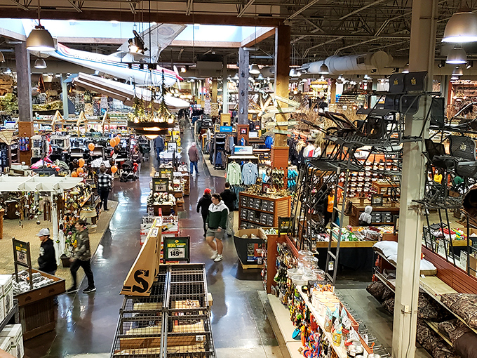 Bass Pro Shops isn't just a store, it's an expedition. Browse fishing gear while contemplating whether you really need that canoe for your apartment's bathtub.