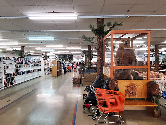 Welcome to the land of "one person's past is another's perfect find." The expansive interior stretches before you like a department store from a more affordable dimension. 