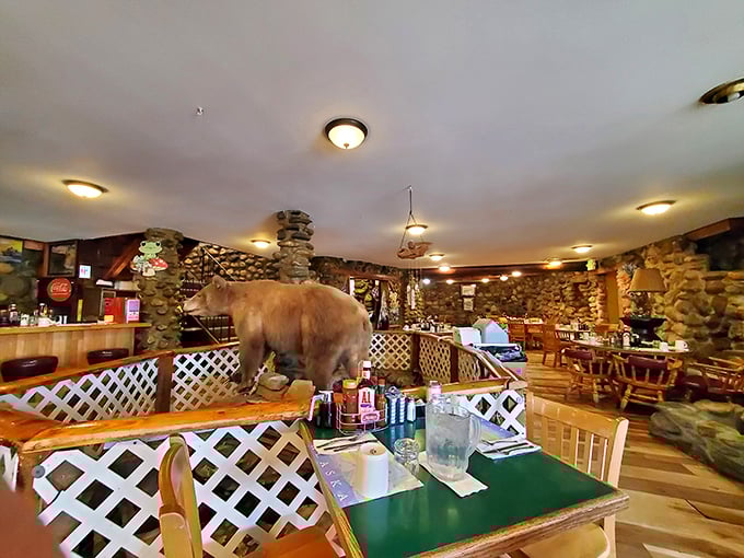 Where else can you enjoy your breakfast under the watchful gaze of a taxidermied brown bear? Only in Alaska, folks.