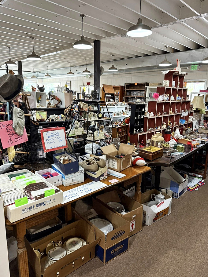 Racks upon racks stretch before you in an organized wonderland where your next favorite outfit is hiding at a fraction of retail prices.