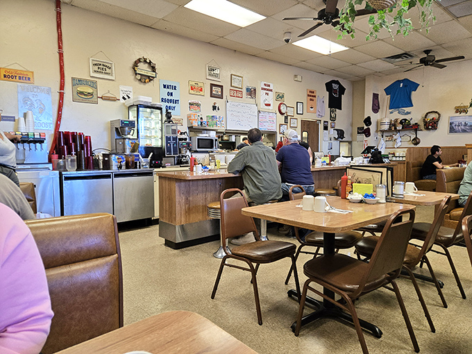 The interior feels like a community living room where regulars become family. Hanging plants and wood paneling create that perfect "been here forever" vibe.