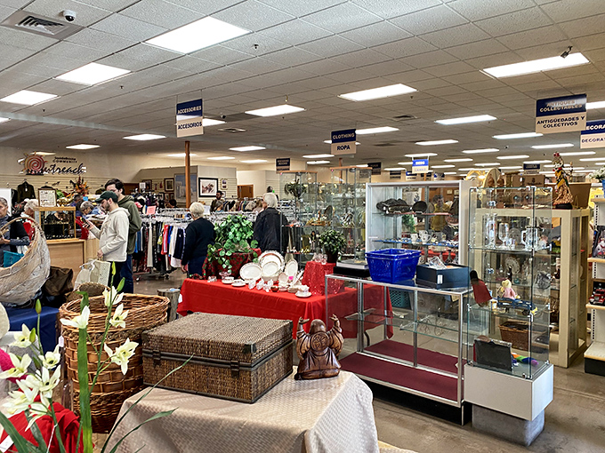 Glass cases showcase collectibles that would make antique roadshow experts weep with joy and envy.