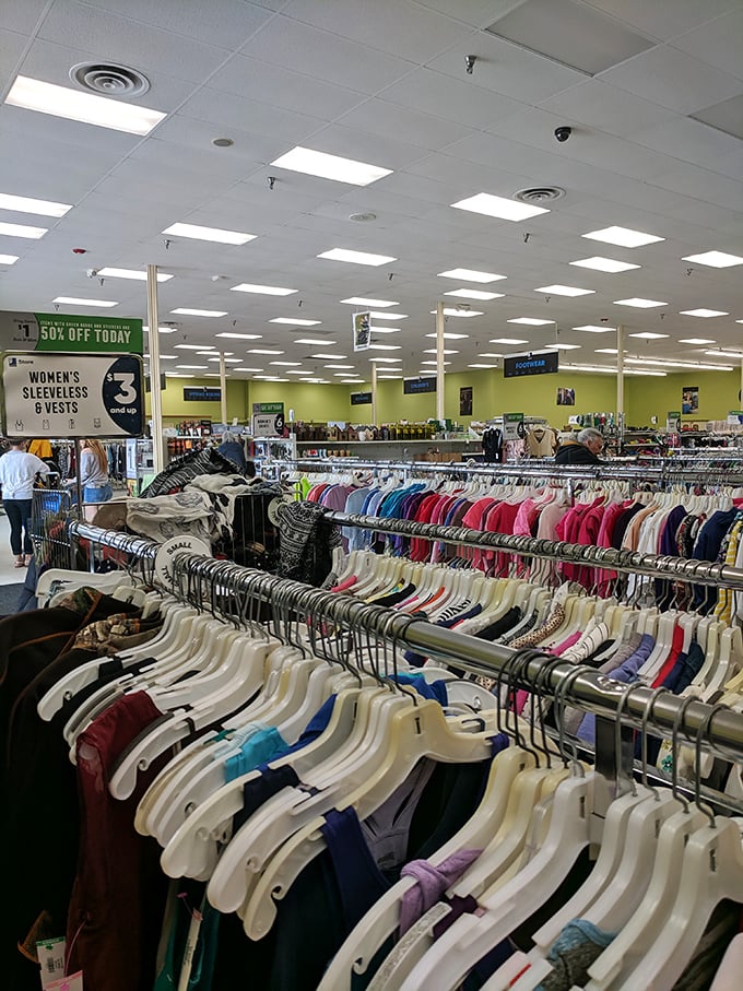 Rows upon rows of possibility stretch before you under the fluorescent glow&mdash;each rack a chapter in someone else's story, waiting for you to continue it.