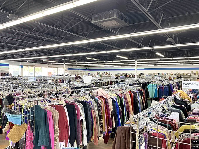 Clothing racks stretch to the horizon in a sea of second chances. Each hanger holds not just fabric, but possibilities.