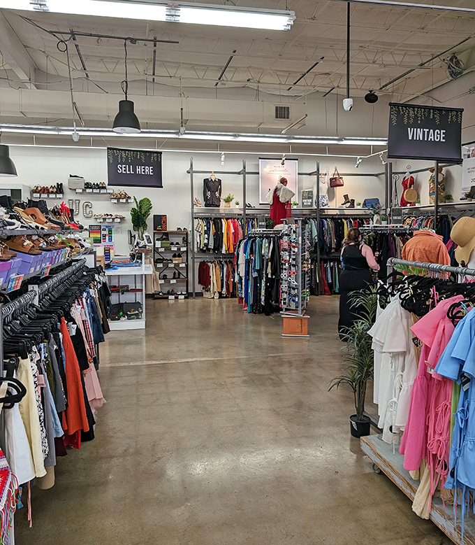 Clean lines, organized racks, and bright lighting transform secondhand shopping into a department store experience.