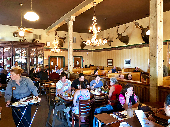 Inside, antler chandeliers cast a warm glow over wooden booths while mounted trophies stand sentinel. It's like dining in a sophisticated hunter's lodge where everyone's welcome.