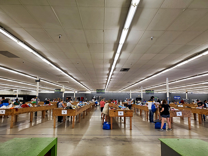 Row after row of wooden bins await explorers in Bintime's no-frills interior. The fluorescent lighting might not be glamorous, but the deals certainly shine bright.