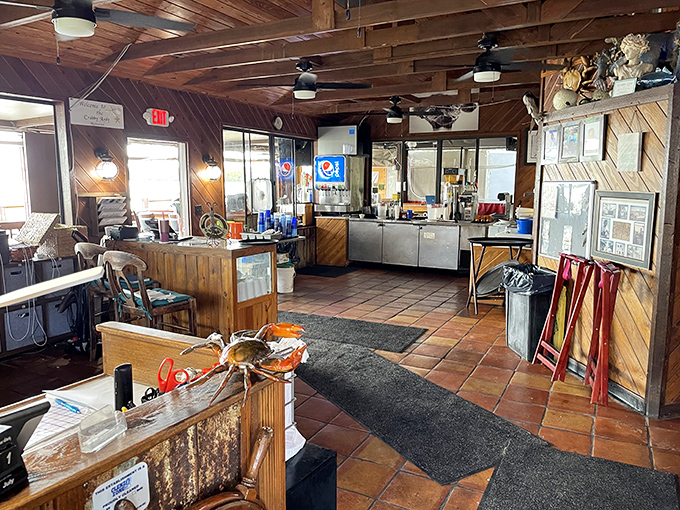 Step inside to wooden-paneled warmth where fishing tales grow taller and seafood arrives fresher than your neighbor's gossip.