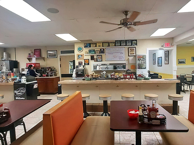 Classic diner counter seating where the magic happens. Half the experience is watching your breakfast materialize before your eyes.