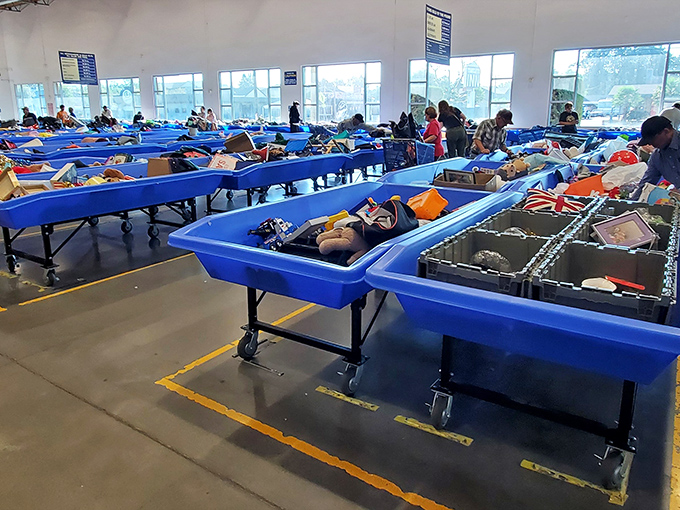 Rows of bins stretch like a sea of possibilities, each one a lottery ticket waiting to be scratched.