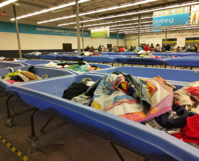 Rows upon rows of bins hold mysteries that would make Indiana Jones jealous.