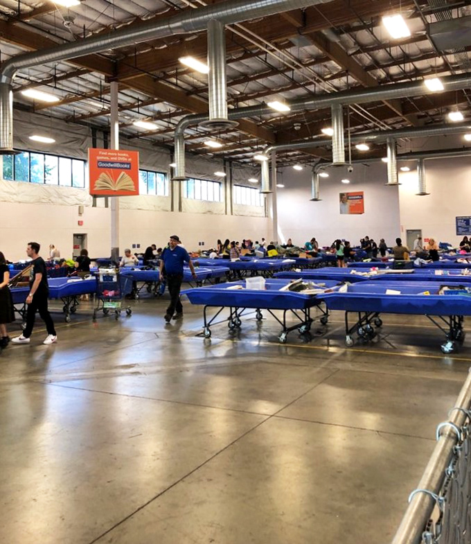 Welcome to retail archaeology &ndash; those blue bins hold mysteries that would make Indiana Jones jealous.