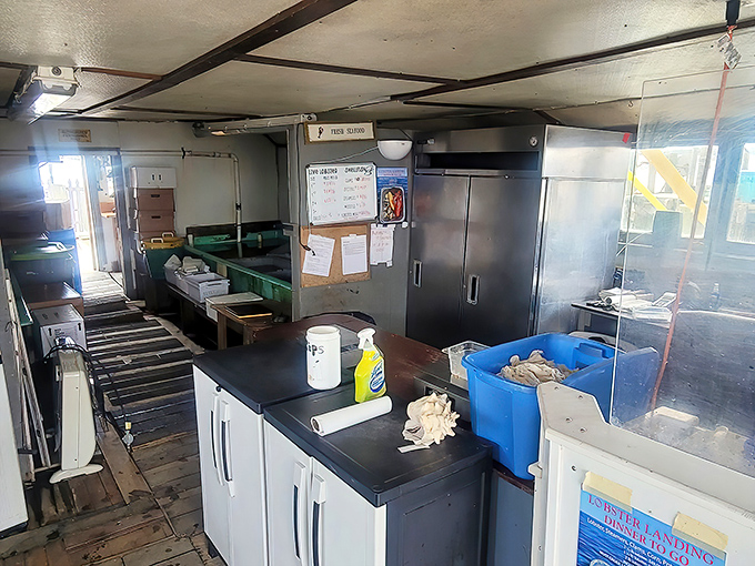 No-nonsense interior where the only drama happens between butter and lobster meat.